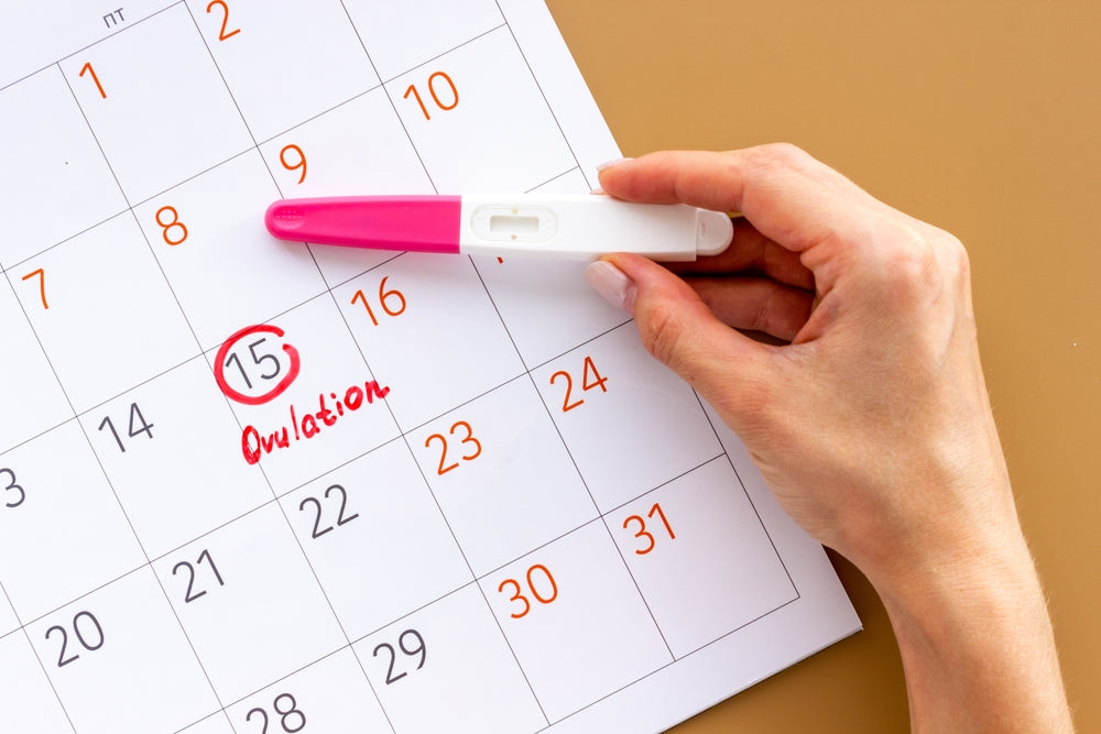 Fertility & Ovulation Tests for Planning Pregnancy | UK Meds – UK Meds ...